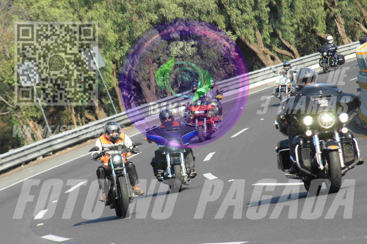 Album — Postimages