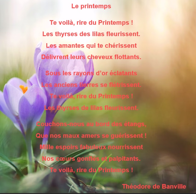 7 poèmes sur le printemps - Twinkl