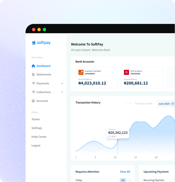 SoftPAY - Secure Payment Solution with Multiple Options Available To ...
