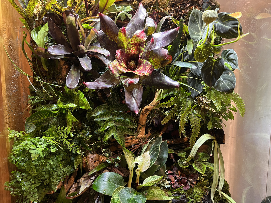 8697 DC85 42 BC 447 F B9 B4 A58 B99 C7 D652 — Postimages