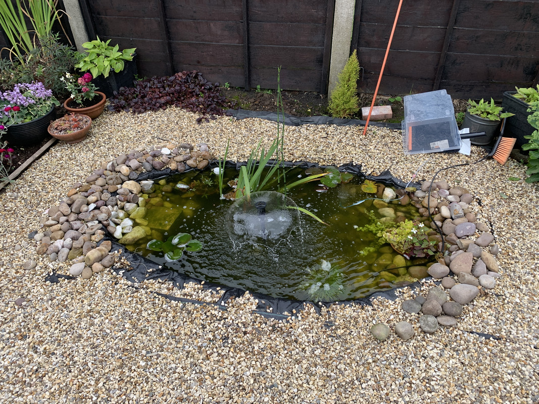 IMG 2005 — Postimages