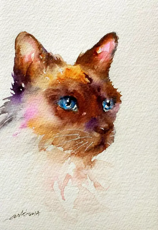 baf6afcc09d547da850d6a125746f240 — Postimages