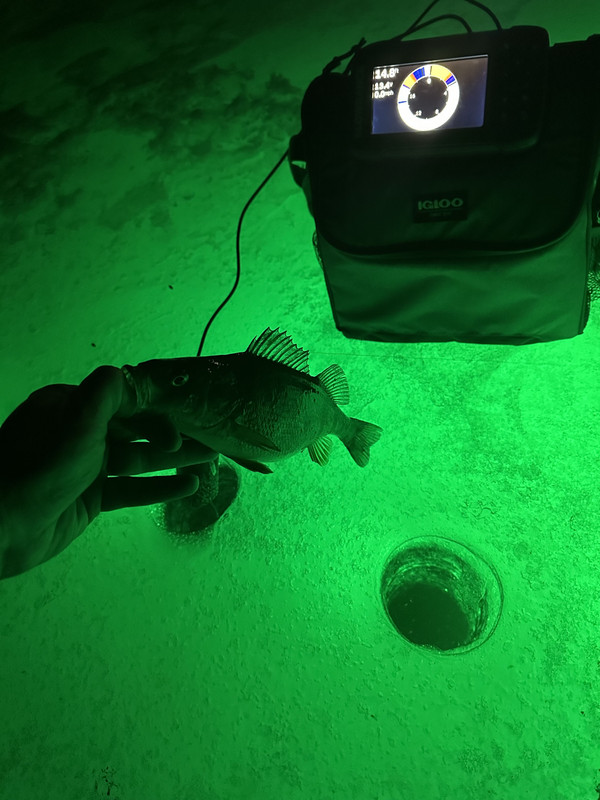 IMG 2595 — Postimages