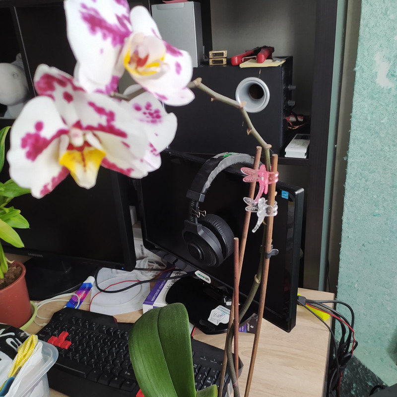 IMG 20220328 132800 — Postimages