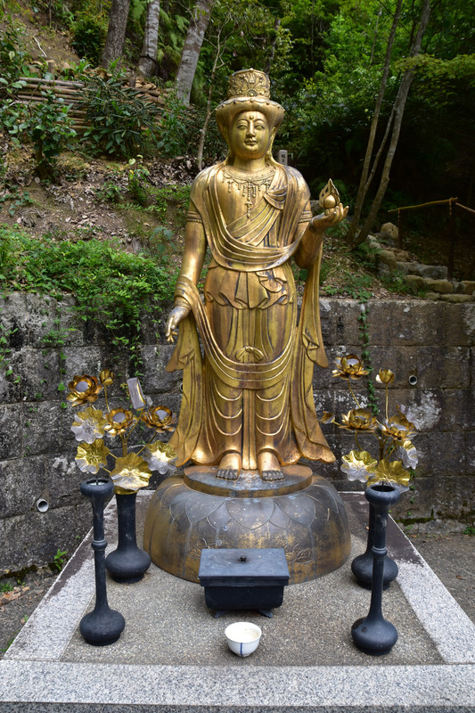 DSC 0359 — Postimages