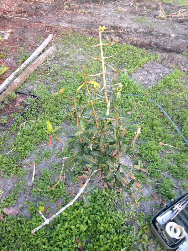 IMG 0975 — Postimages