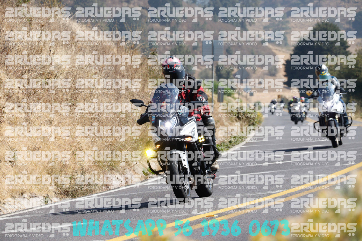 MG 0458 — Postimages