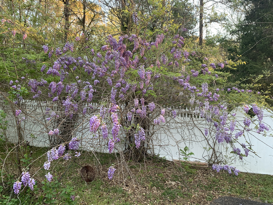 E2659 F60 E51 A 4 F8 D 88 CA 0994410167 E6 — Postimages