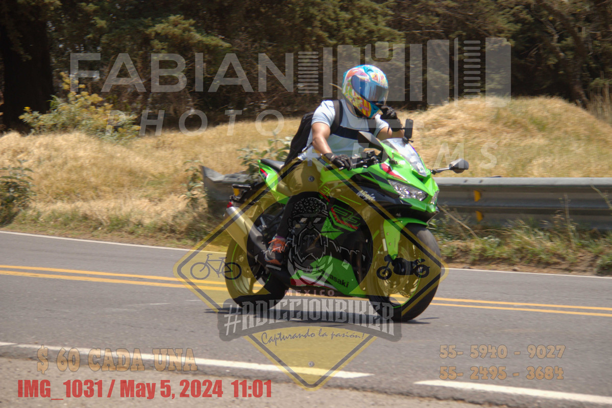 IMG 1031 — Postimages