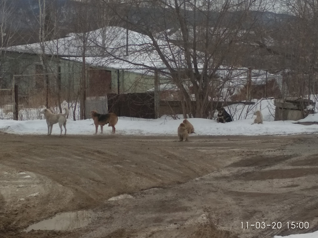 IMG 20200311 150053 — Postimages