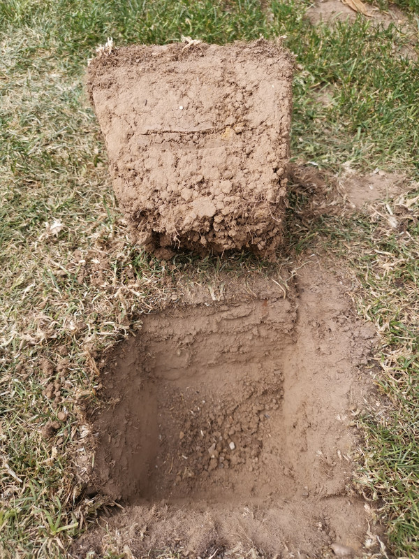 Lawn 1 Sample 2b — Postimages