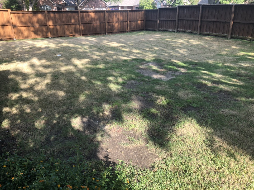 New Back yard — Postimages