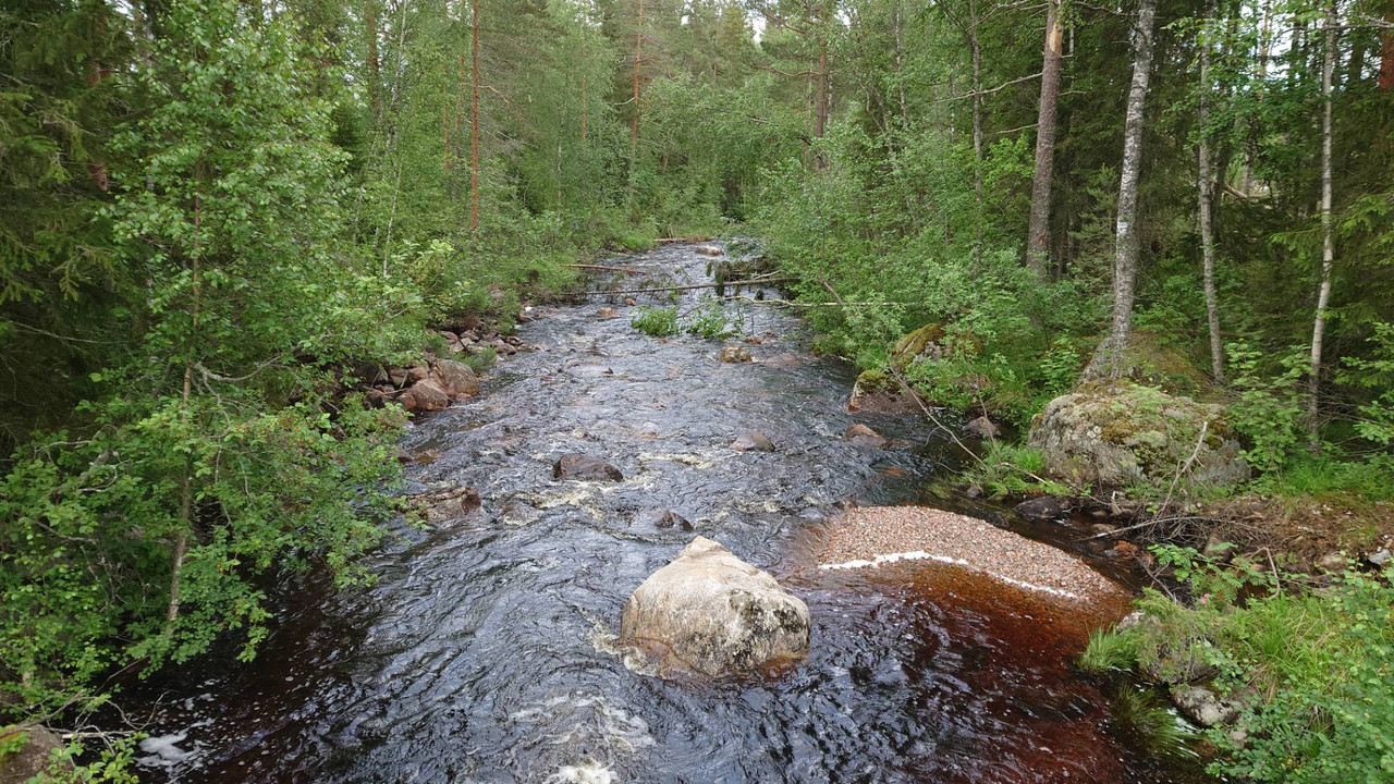 DSC 0632 — Postimages