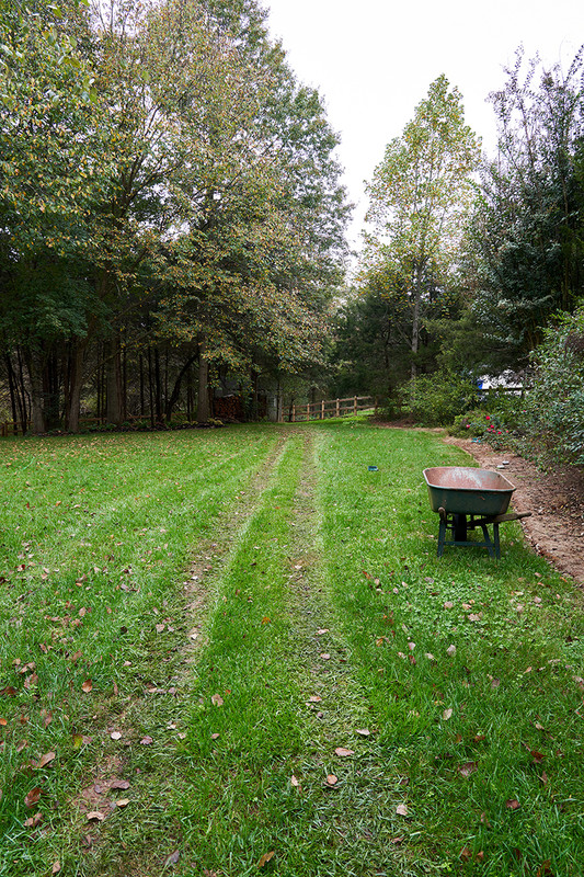 How To Fix or Just Leave It Be | Lawn Care Forum