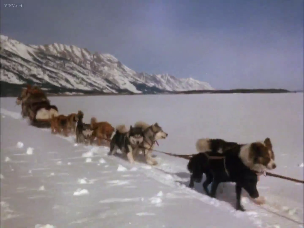 vlcsnap 2020 02 29 13h08m14s007 — Postimages