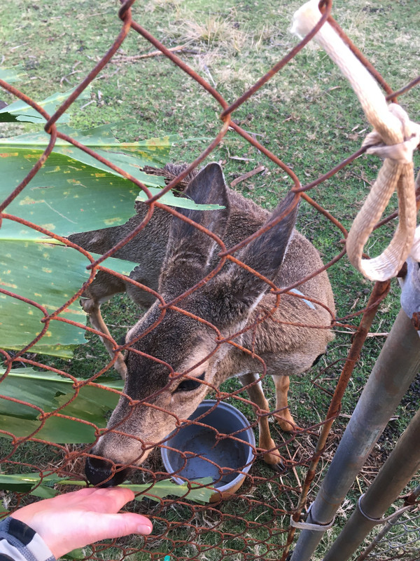 .25-06? - 24hourcampfire