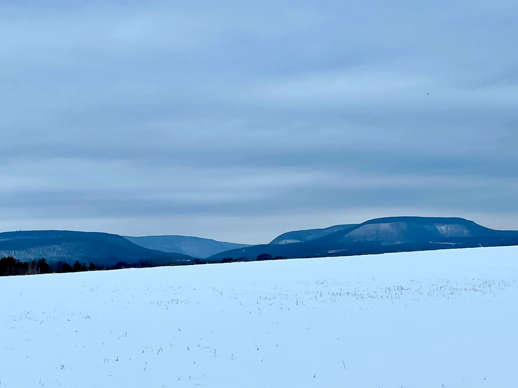 852 BDCF4 96 A8 4 FDF A06 C 497 AE244179 B — Postimages