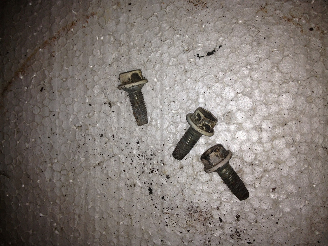 IMG 3620[1] — Postimages