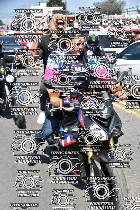 DSC 0270 — Postimages