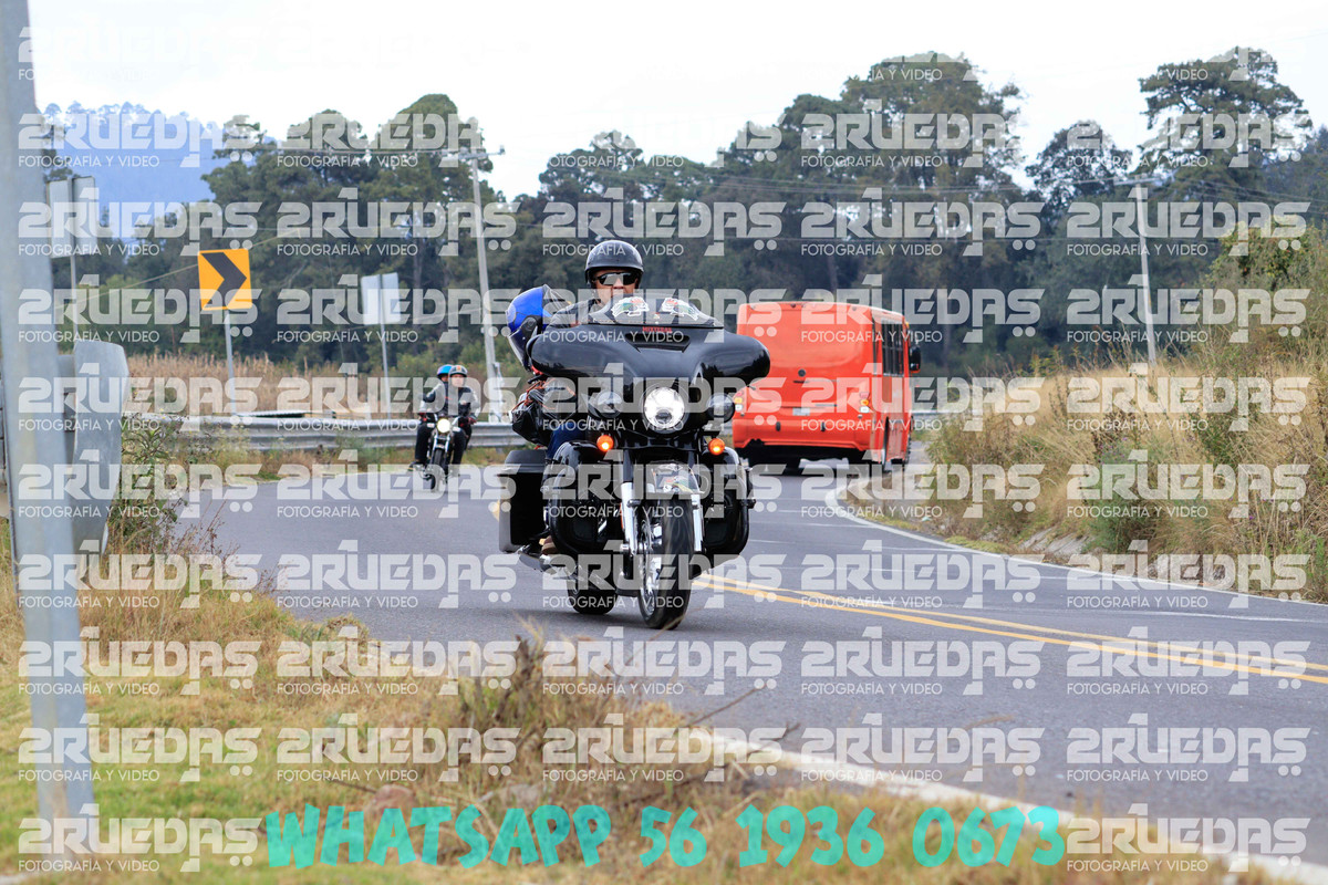 MG 0816 — Postimages