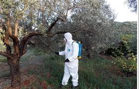 ΕΠΙΚΑΙΡΟΤΗΤΑ - ChiosPress.org