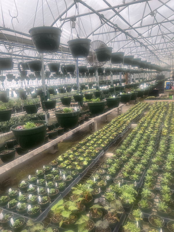 E700 C2 F0 98 BC 4 F12 BD48 29496359 ED77 — Postimages