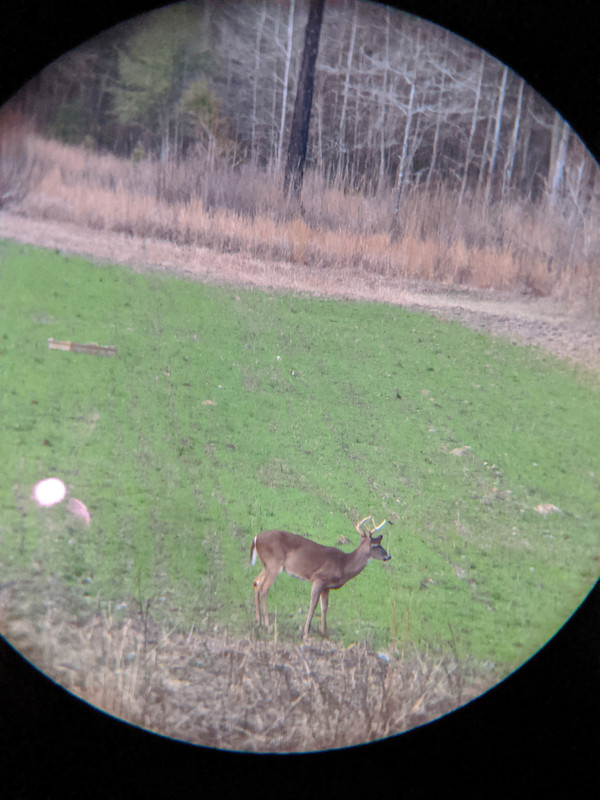 image000000(4) — Postimages