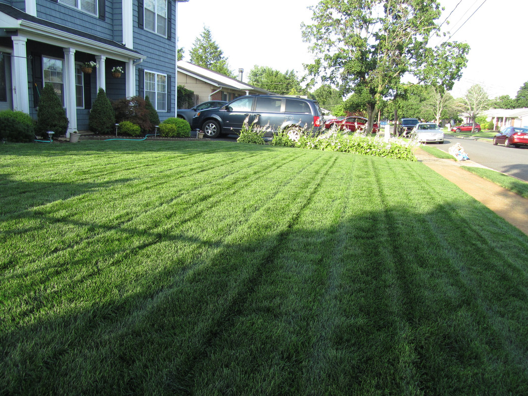 IMG 4731 — Postimages