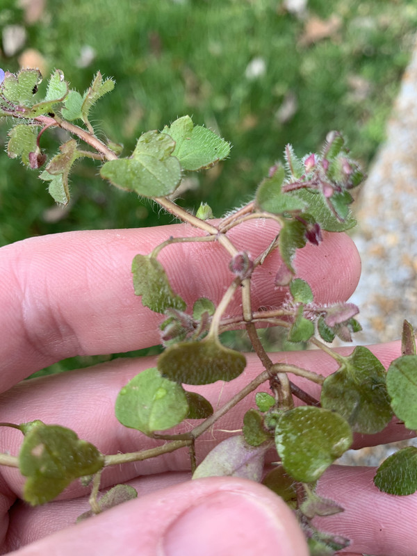 9092 CFE2 EEAF 4 DCD BAAC B8082 BA7 BC2 B — Postimages