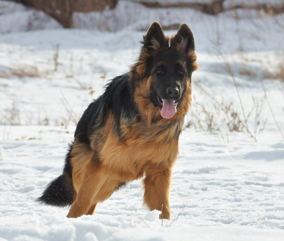 DSC 0036 — Postimages