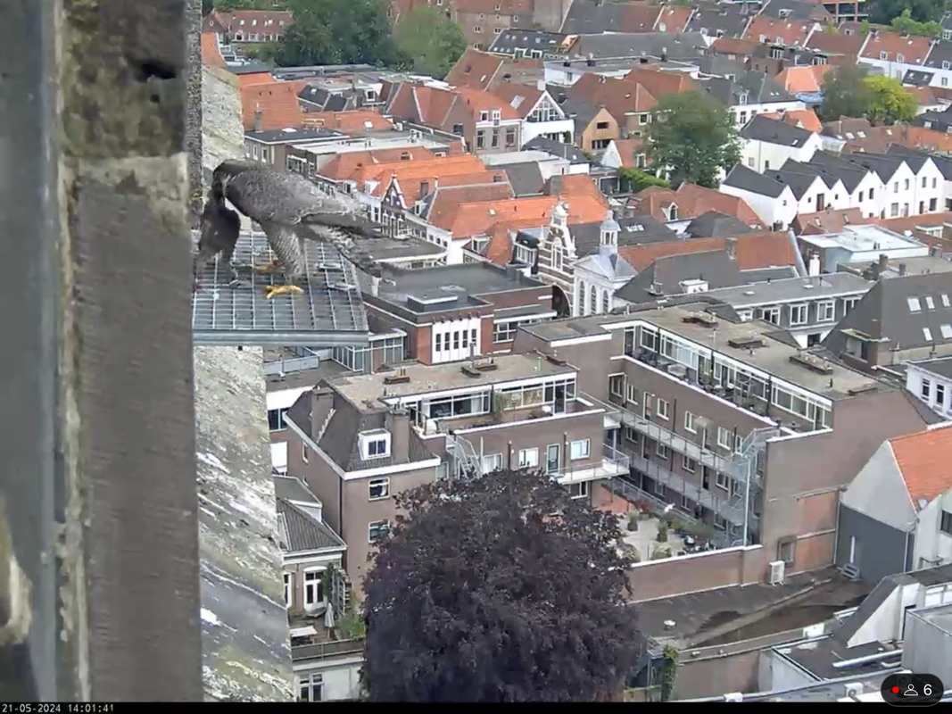 IMG 1046 — Postimages