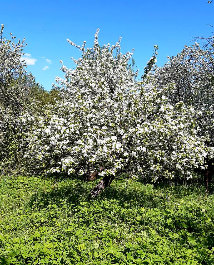 20230516 154721 — Postimages