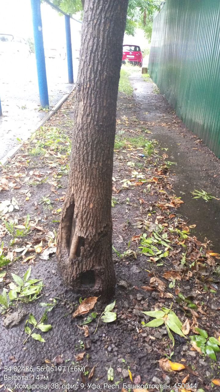 IMG 20230908 095825 658 — Postimages