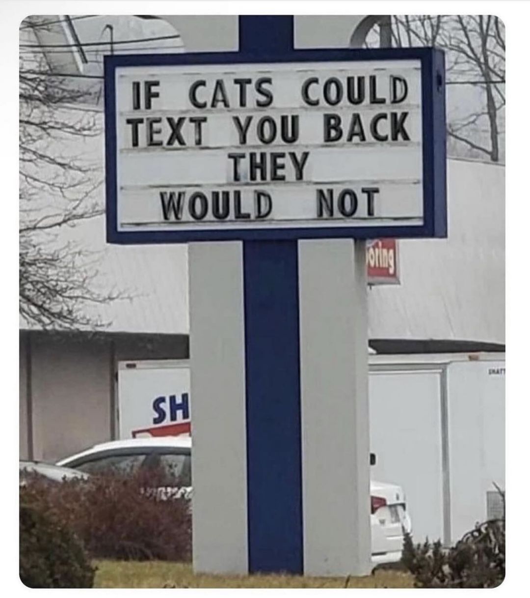 387268352 6636211079808818 4788911209926271593 n — Postimages