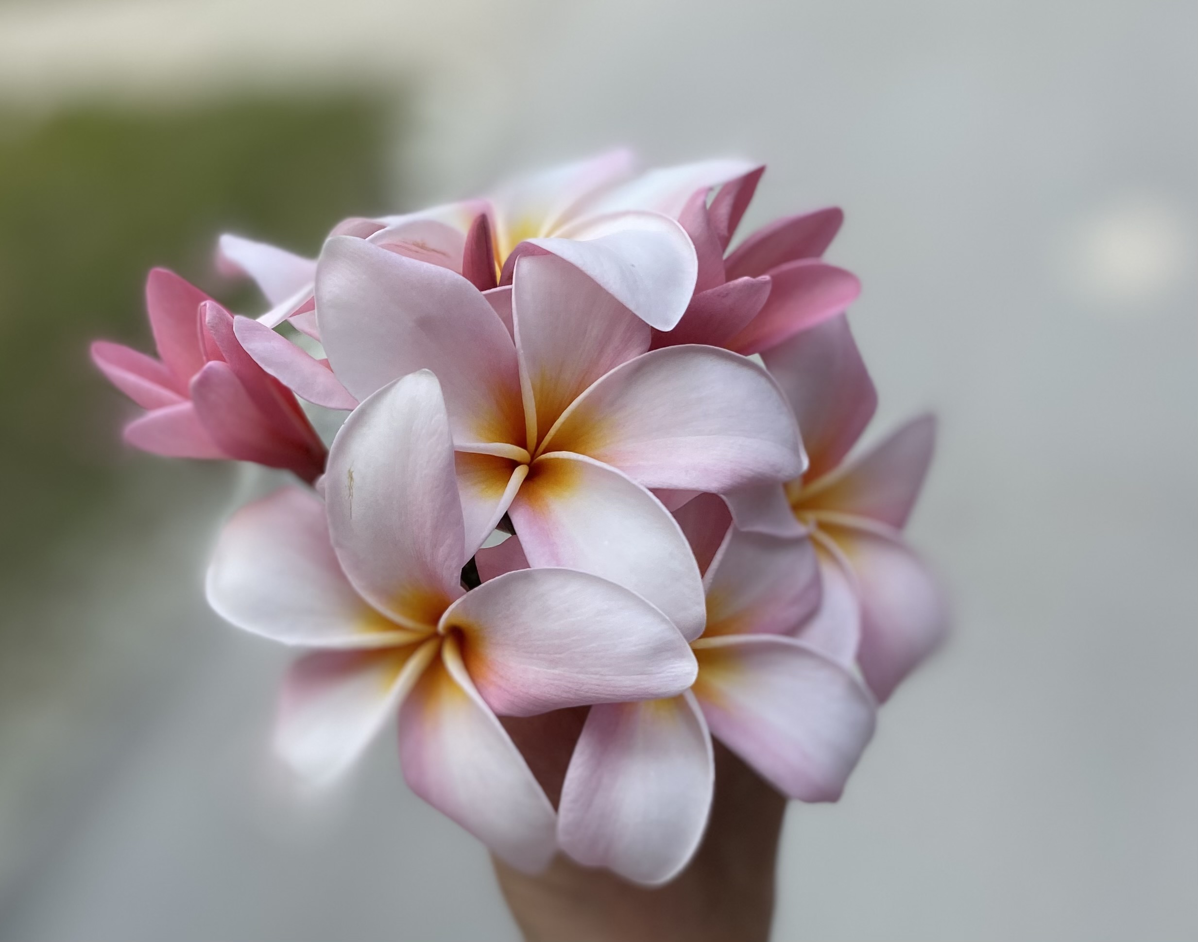 IMG 2125 — Postimages