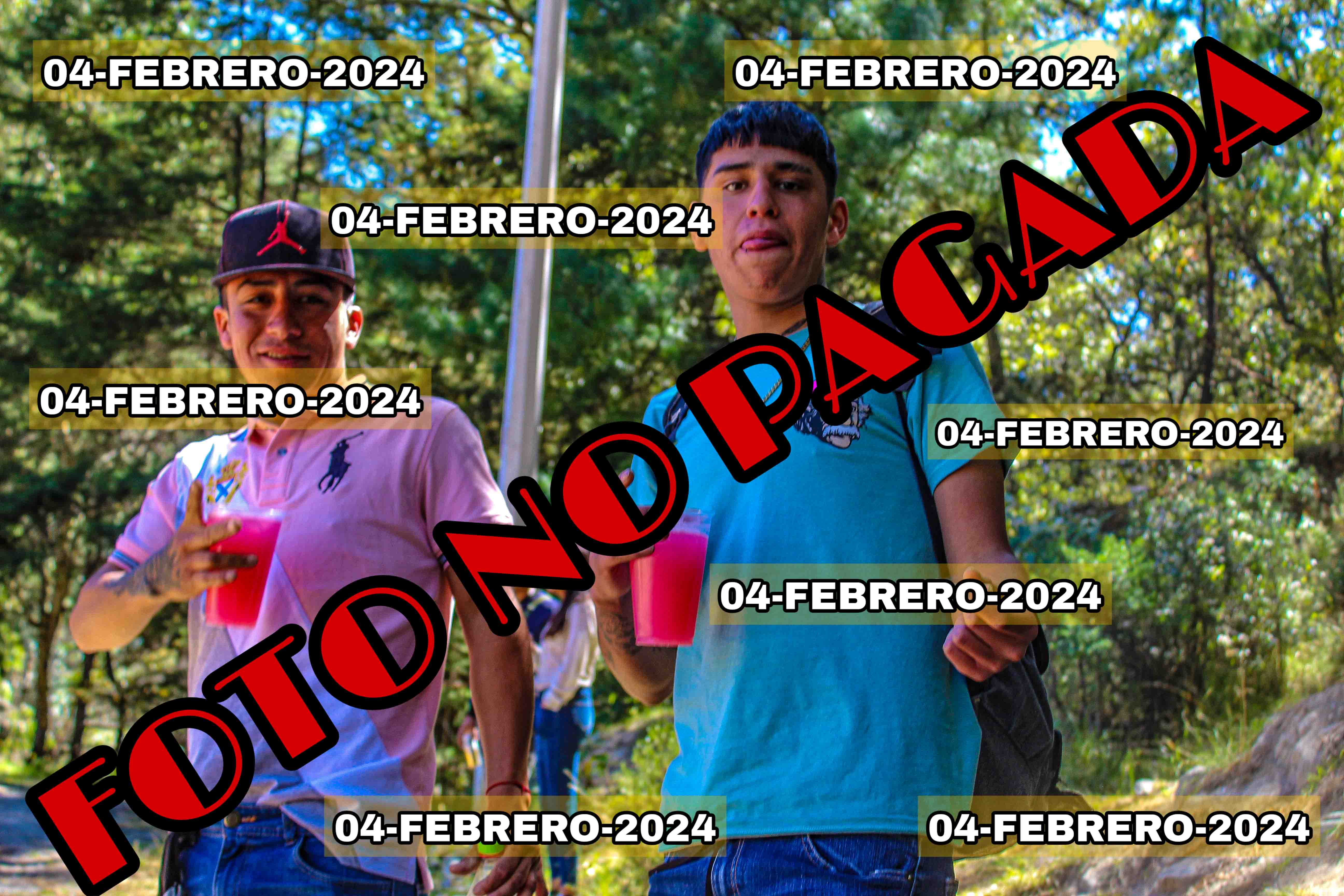 SC 133 — Postimages