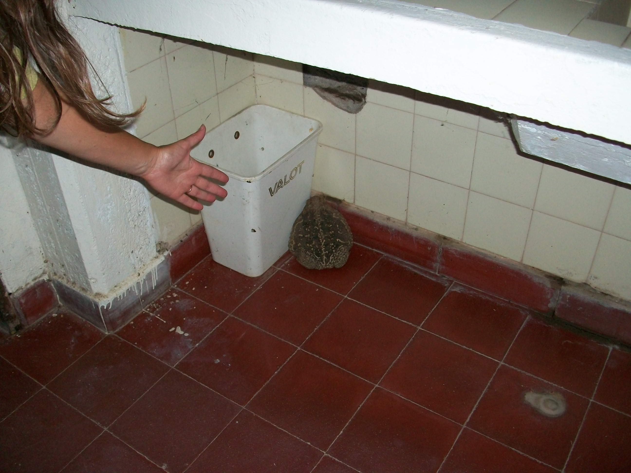 100 1826 — Postimages