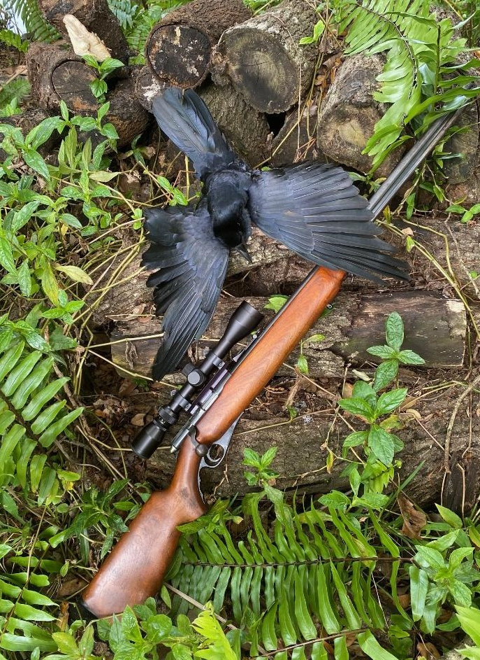 thumbnail 8 — Postimages