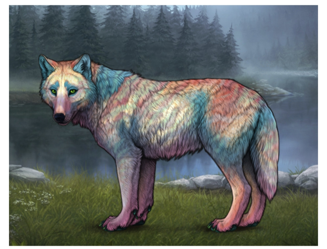 Chased Wolf Spotting - Revamped |:| Wolvden