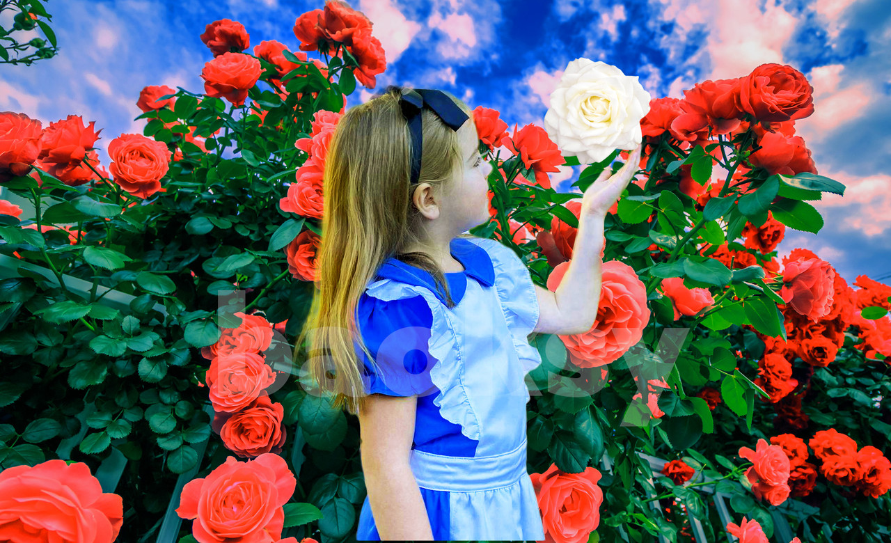 3qqez2t1onr91 wt — Postimages