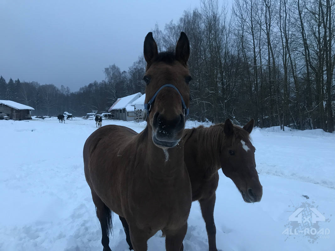 IMG 4523 — Postimages