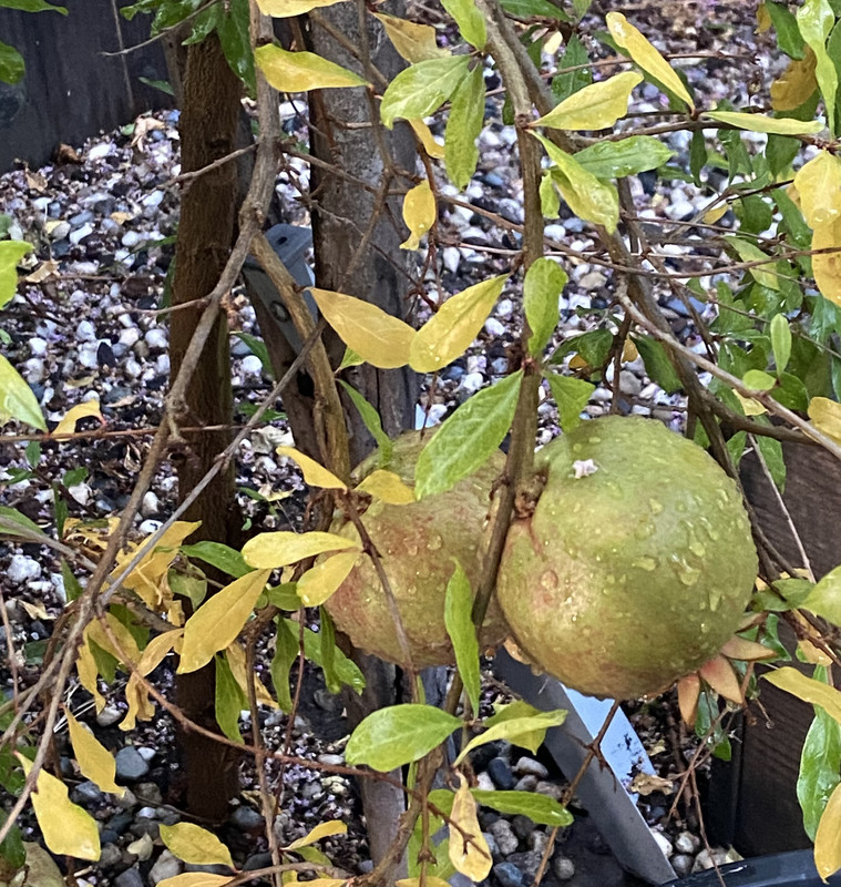 34 ED15 B5 2872 4963 B4 D7 1 C8759 B47556 — Postimages