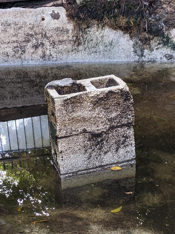 Concrete block immersion in water for a long time? | DIY Home ...