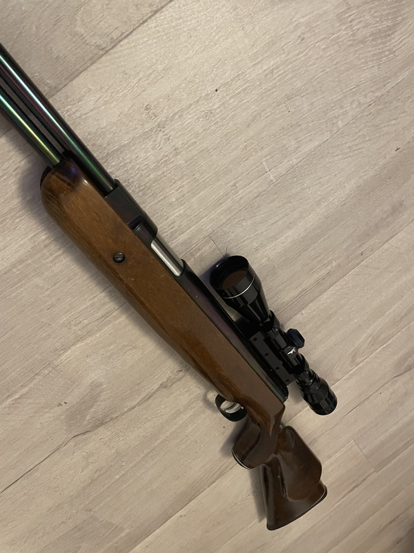 IMG 3481 — Postimages