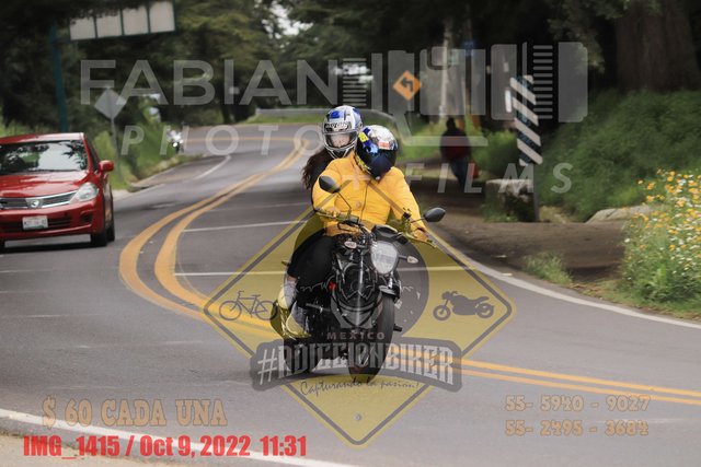 Album — Postimages