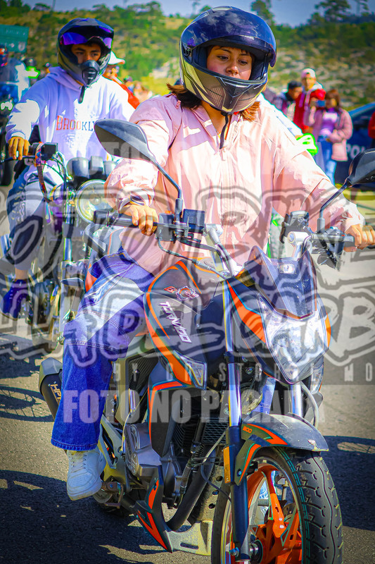 PL2 2015 — Postimages