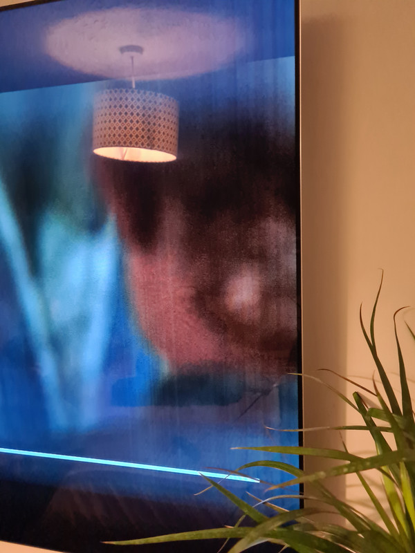 20221215 175311 Postimages