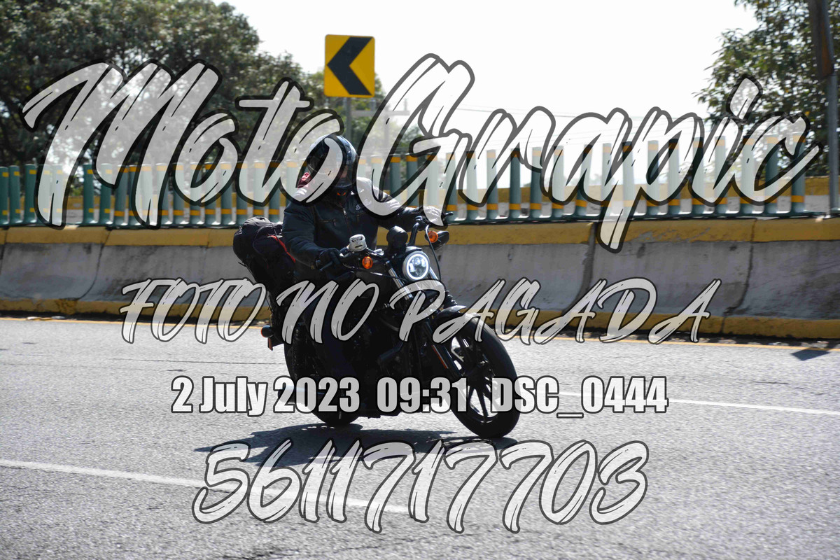 motgr DSC 0444 — Postimages