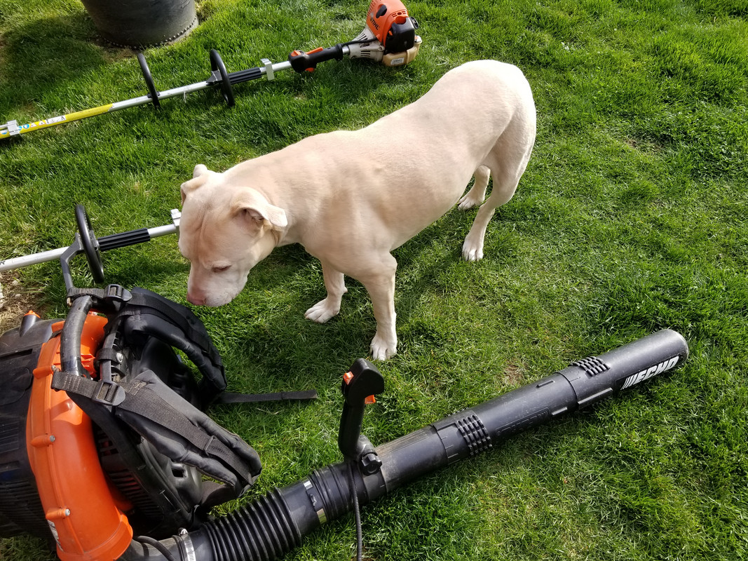 20230404 171751 — Postimages