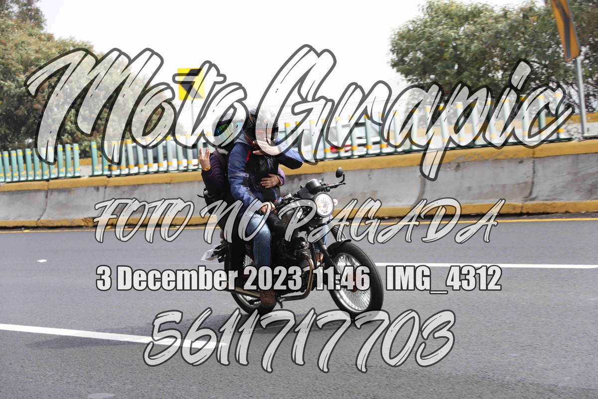 motgr IMG 4312 — Postimages